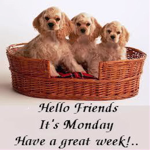 Hello Friends Its Monday Pictures, Photos, and Images for Facebook ...