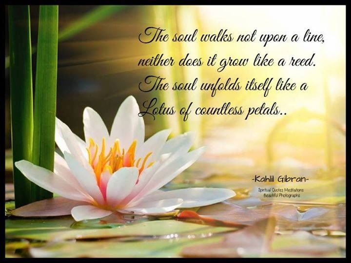 Souls Pictures, Photos, and Images for Facebook, Tumblr, Pinterest, and ...