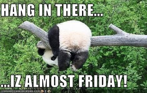 Hang In There Its Almost Friday Pictures, Photos, and Images for ...