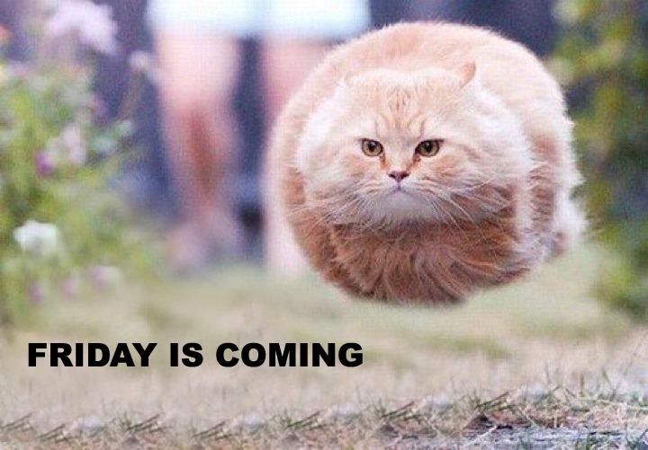 Friday Is Coming Pictures, Photos, and Images for Facebook, Tumblr ...