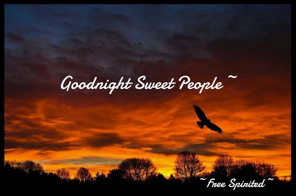 Goodnight Pictures, Photos, and Images for Facebook, Tumblr, Pinterest ...