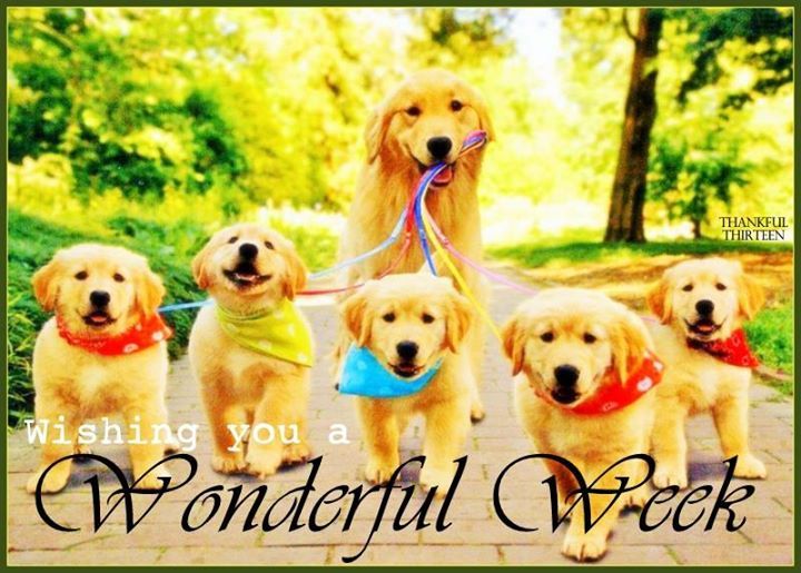Wishing You A Wonderful Week Pictures, Photos, and Images for Facebook ...