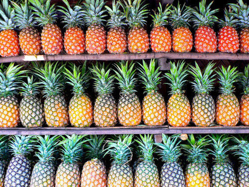 Pineapples Pictures, Photos, and Images for Facebook, Tumblr, Pinterest ...