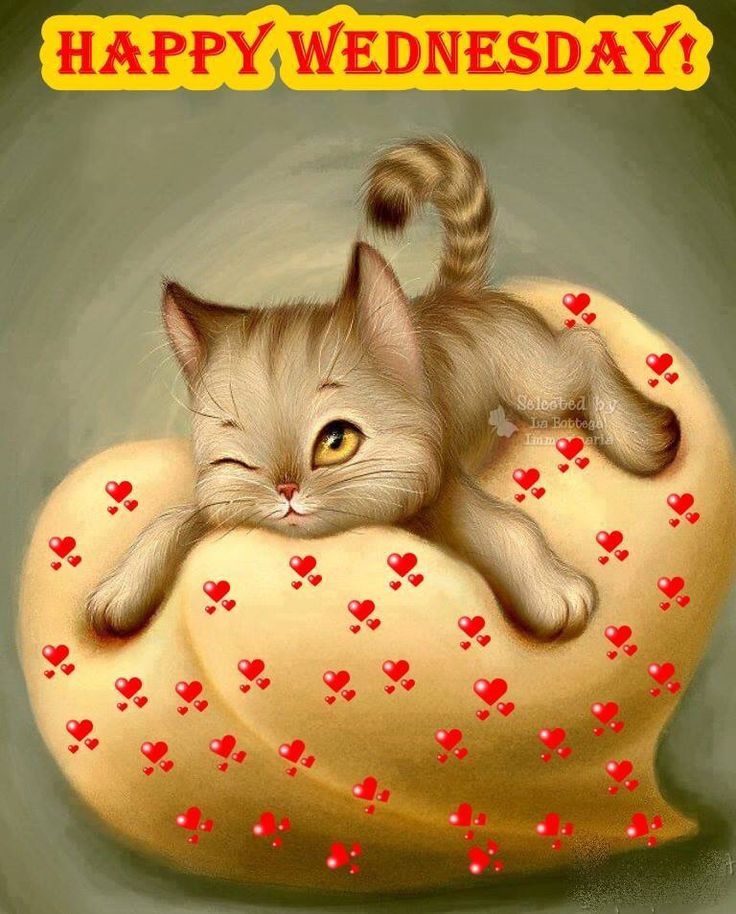 Happy Wednesday Pictures, Photos, and Images for Facebook, Tumblr ...