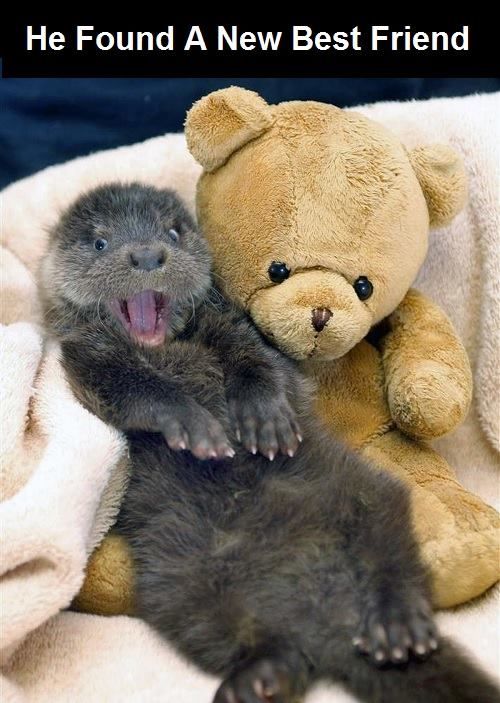 Best Friends Pictures, Photos, and Images for Facebook, Tumblr ...