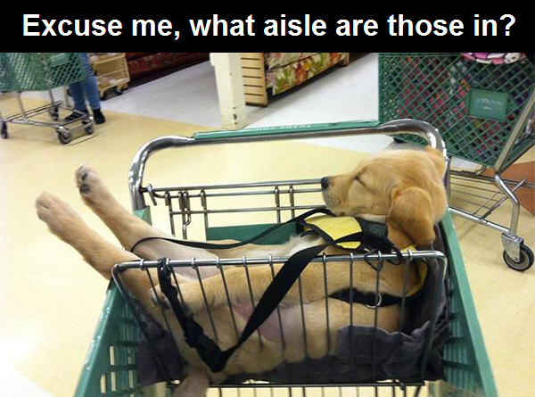 What Aisle Are Those In Pictures, Photos, and Images for Facebook ...