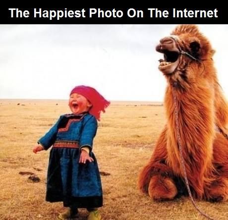 The Happiest Photo On The Internet Pictures, Photos, and Images for ...
