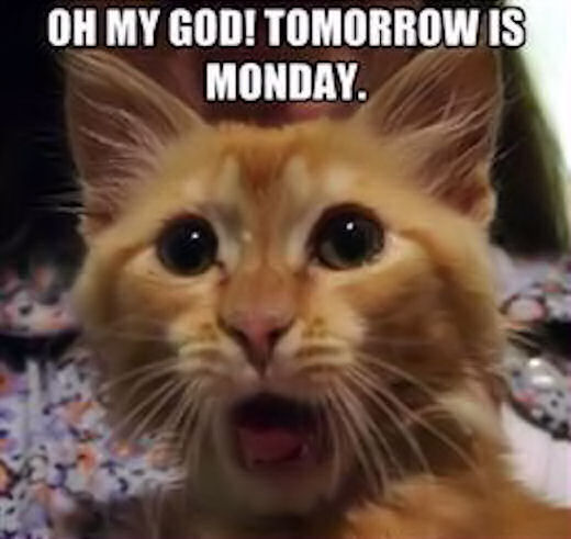 OMG Tomorrows Monday Pictures, Photos, and Images for Facebook, Tumblr ...