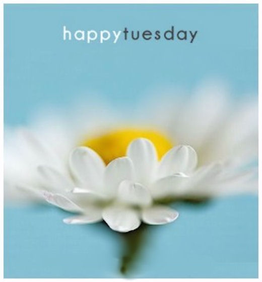 Happy Tuesday Pictures, Photos, and Images for Facebook, Tumblr ...