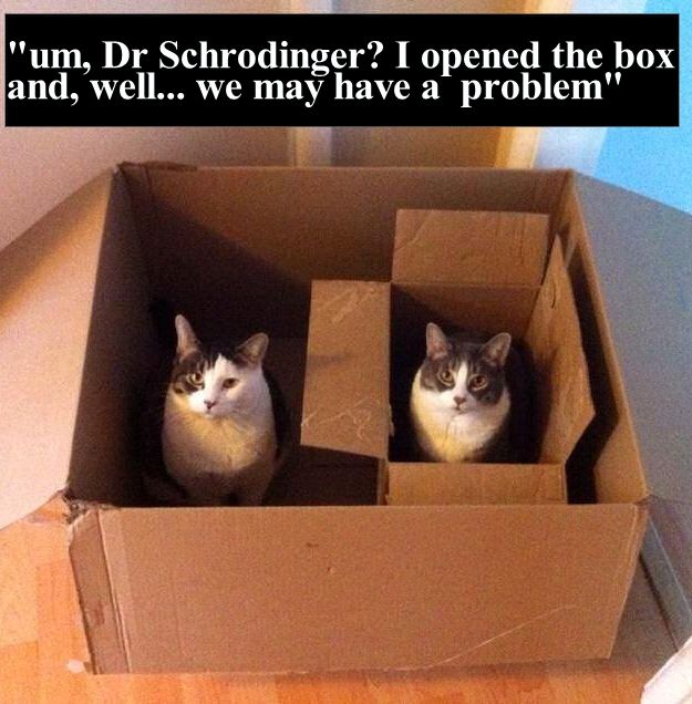 We May Have A Problem Here Pictures, Photos, and Images for Facebook ...