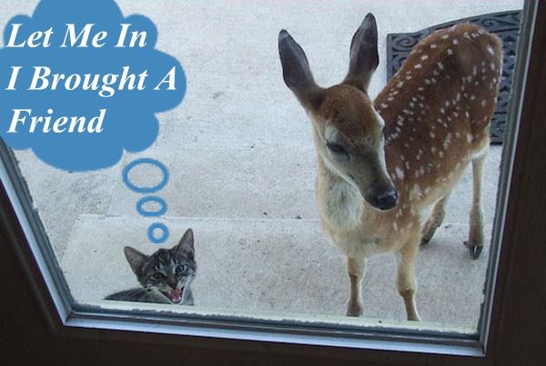 Let Me In Pictures, Photos, and Images for Facebook, Tumblr, Pinterest ...