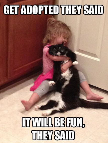 Get Adopted They Said It Will Be Fun They Said Pictures, Photos, and ...