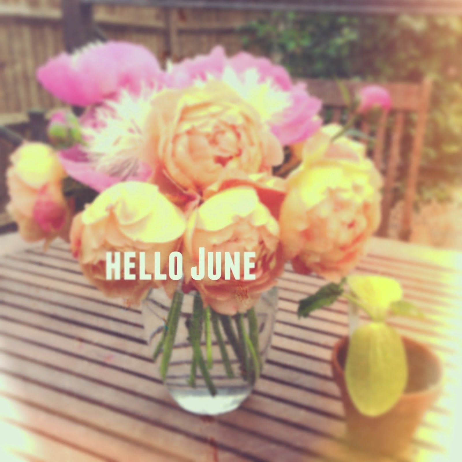 Hello June Pictures, Photos, and Images for Facebook, Tumblr, Pinterest ...