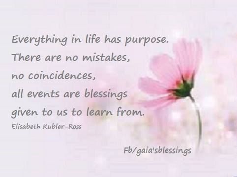 Purpose Pictures, Photos, and Images for Facebook, Tumblr, Pinterest ...