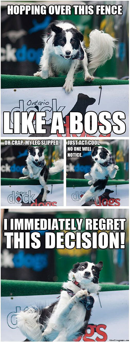 Hopping Over Like A Boss Pictures, Photos, and Images for Facebook ...