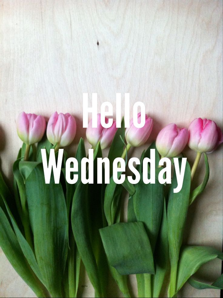 Hello Wednesday Pictures, Photos, and Images for Facebook, Tumblr ...