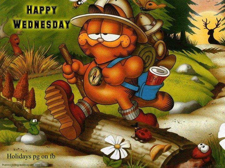Garfield Happy Wednesday Quote Pictures, Photos, and Images for ...