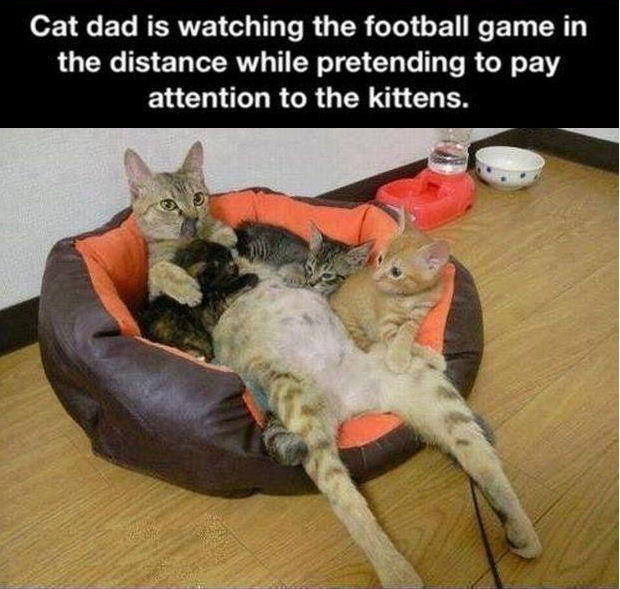 Typical Dad Pictures, Photos, and Images for Facebook, Tumblr ...