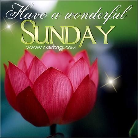 Have A Wonderful Sunday Pictures, Photos, and Images for Facebook ...