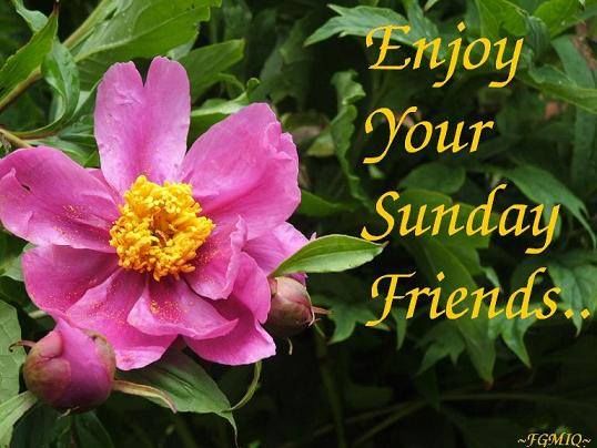 Enjoy Your Sunday Friends Pictures, Photos, and Images for Facebook ...
