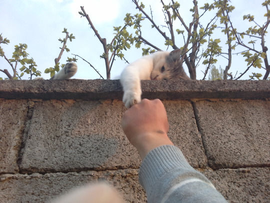 Fist Pound Pictures, Photos, and Images for Facebook, Tumblr, Pinterest ...