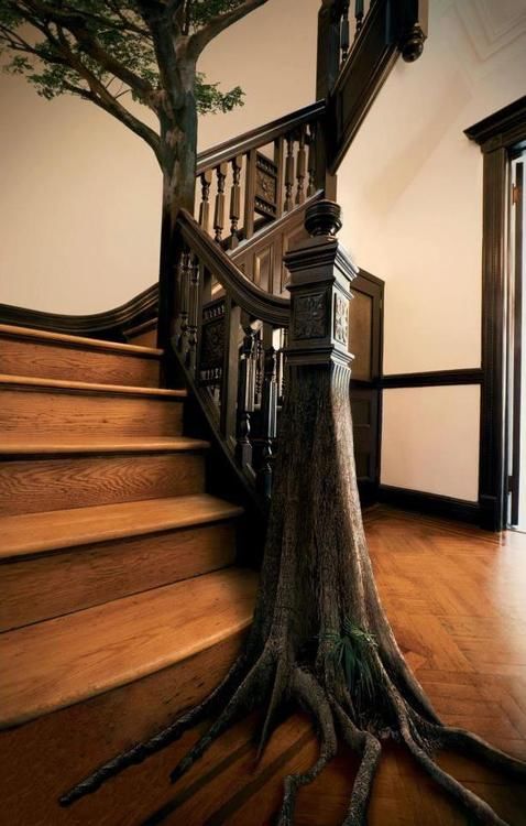 Tree Staircase Pictures, Photos, and Images for Facebook, Tumblr ...