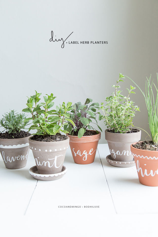 Herb Planter Label Pots Pictures, Photos, and Images for Facebook ...