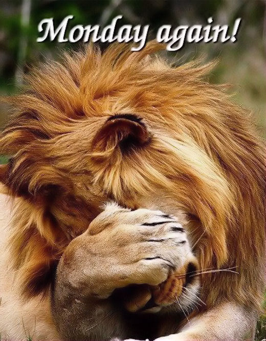 Monday Again Pictures, Photos, and Images for Facebook, Tumblr ...