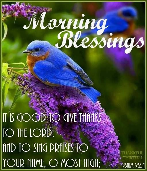 Morning Blessings Pictures, Photos, and Images for Facebook, Tumblr ...