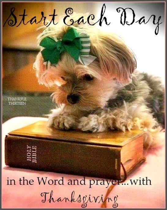 Start Each Day Thankful Pictures, Photos, and Images for Facebook ...