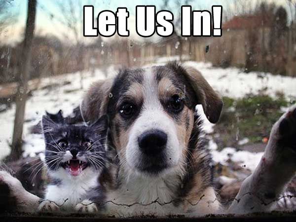 Let Us In Pictures, Photos, and Images for Facebook, Tumblr, Pinterest ...