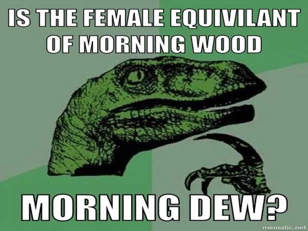 Morning Dew Pictures, Photos, and Images for Facebook, Tumblr ...