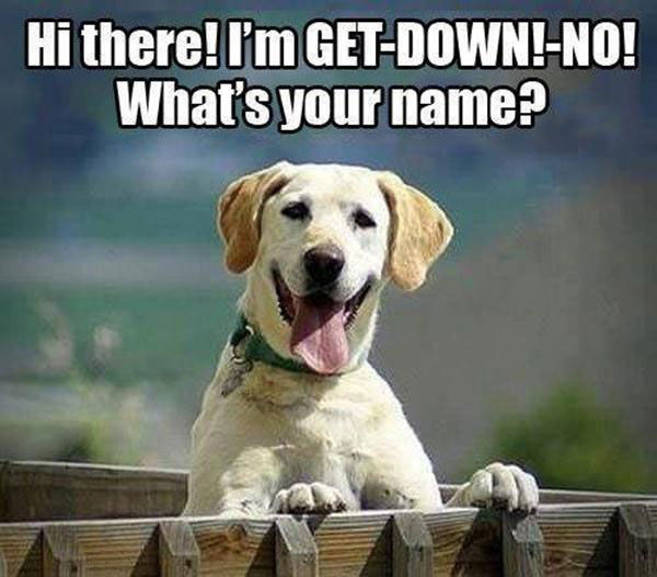 Hi There! Im 'Get Down Now!' Whats Your Name? Pictures, Photos, and ...