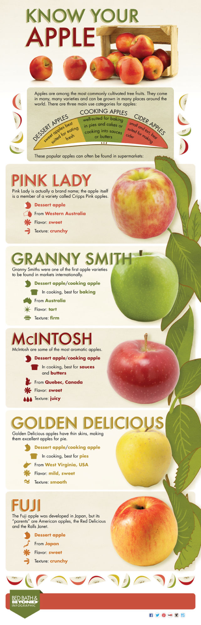 Infographic Apple