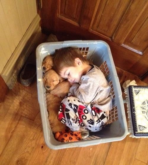 All Curled Up Pictures, Photos, and Images for Facebook, Tumblr ...