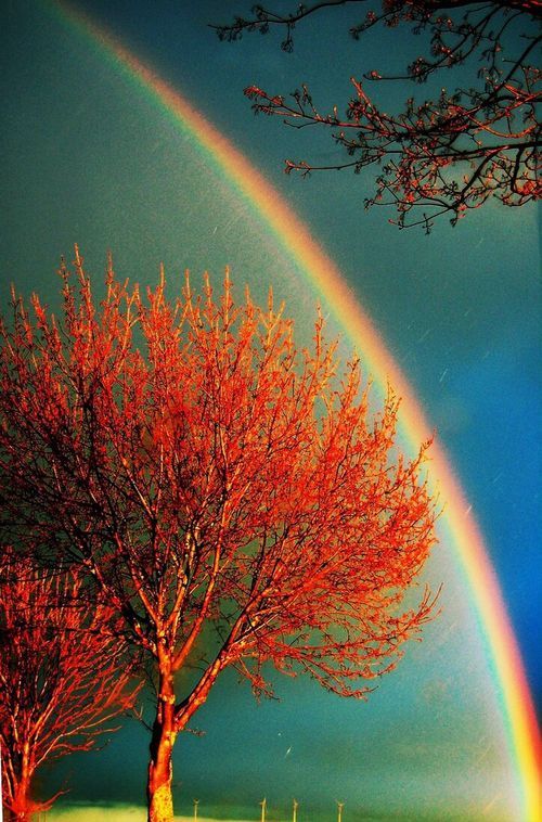 Rainbow View Pictures, Photos, and Images for Facebook, Tumblr ...