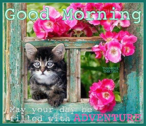 Good Morning May Your Day Be Filled With Adventure Pictures, Photos ...