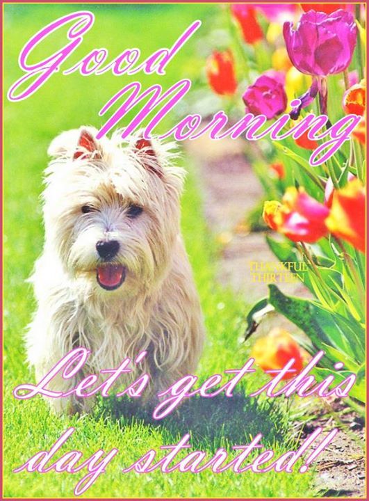 Good Morning Let's Get The Day Started Pictures, Photos, and Images for ...