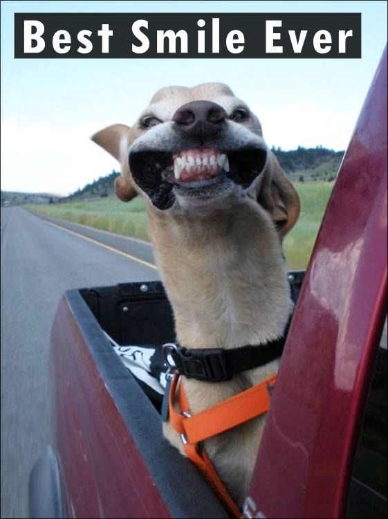 Best Smile Ever Pictures, Photos, and Images for Facebook, Tumblr ...