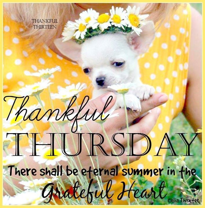 Thankful Thursday Pictures, Photos, and Images for Facebook, Tumblr ...