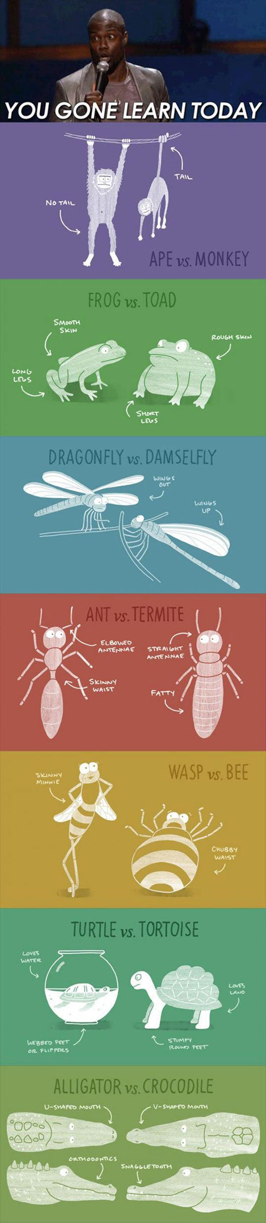 Whats The Difference Pictures, Photos, and Images for Facebook, Tumblr ...