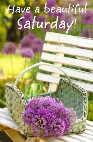 Have A Beautiful Saturday Pictures, Photos, and Images for Facebook ...