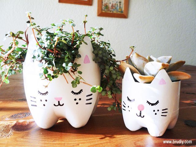 Kitty Plant Pots Pictures, Photos, and Images for Facebook, Tumblr ...