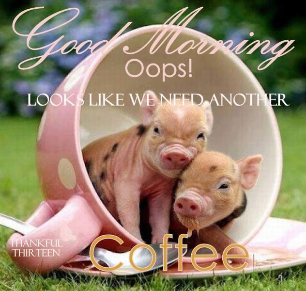 Good Morning Ned More Coffee Pictures Photos And Images For Facebook good-morning-ned-more-coffee-pictures-photos-and-images-for-facebook