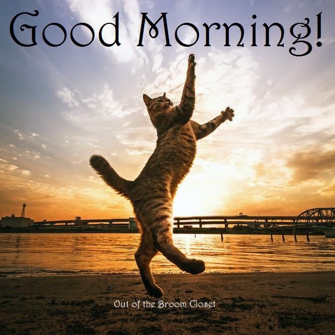 Good Morning Pictures, Photos, and Images for Facebook, Tumblr ...