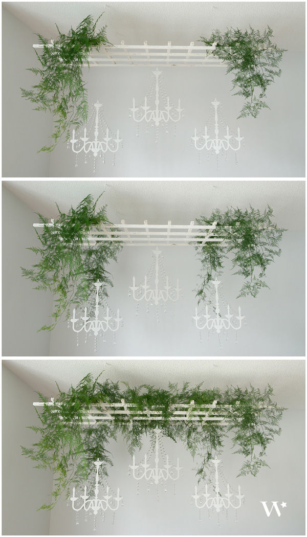 Fern Chandelier Overhang Pictures, Photos, and Images for Facebook ...