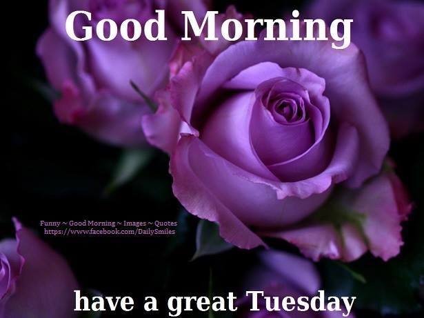 Good Morning Have A Great Tuesday Pictures, Photos, and Images for ...