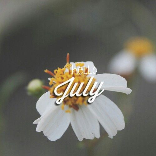 Hello July Pictures, Photos, and Images for Facebook, Tumblr, Pinterest ...
