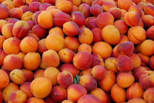 Peaches Pictures, Photos, and Images for Facebook, Tumblr, Pinterest ...