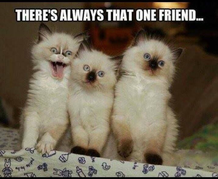 There's Always That One Friend. Pictures, Photos, and Images for ...